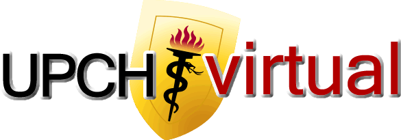 UPCH Virtual 【 Carreras, Posgrados y Costos 2025